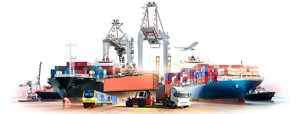 Guide to Distribution & Supply Chain Insights for Professionals